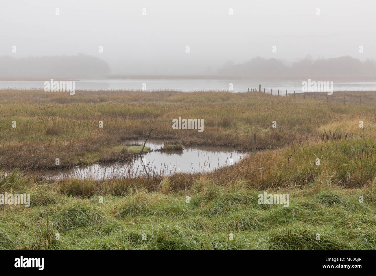 misty morning over water inlet and marshland Stock Photo - Alamy