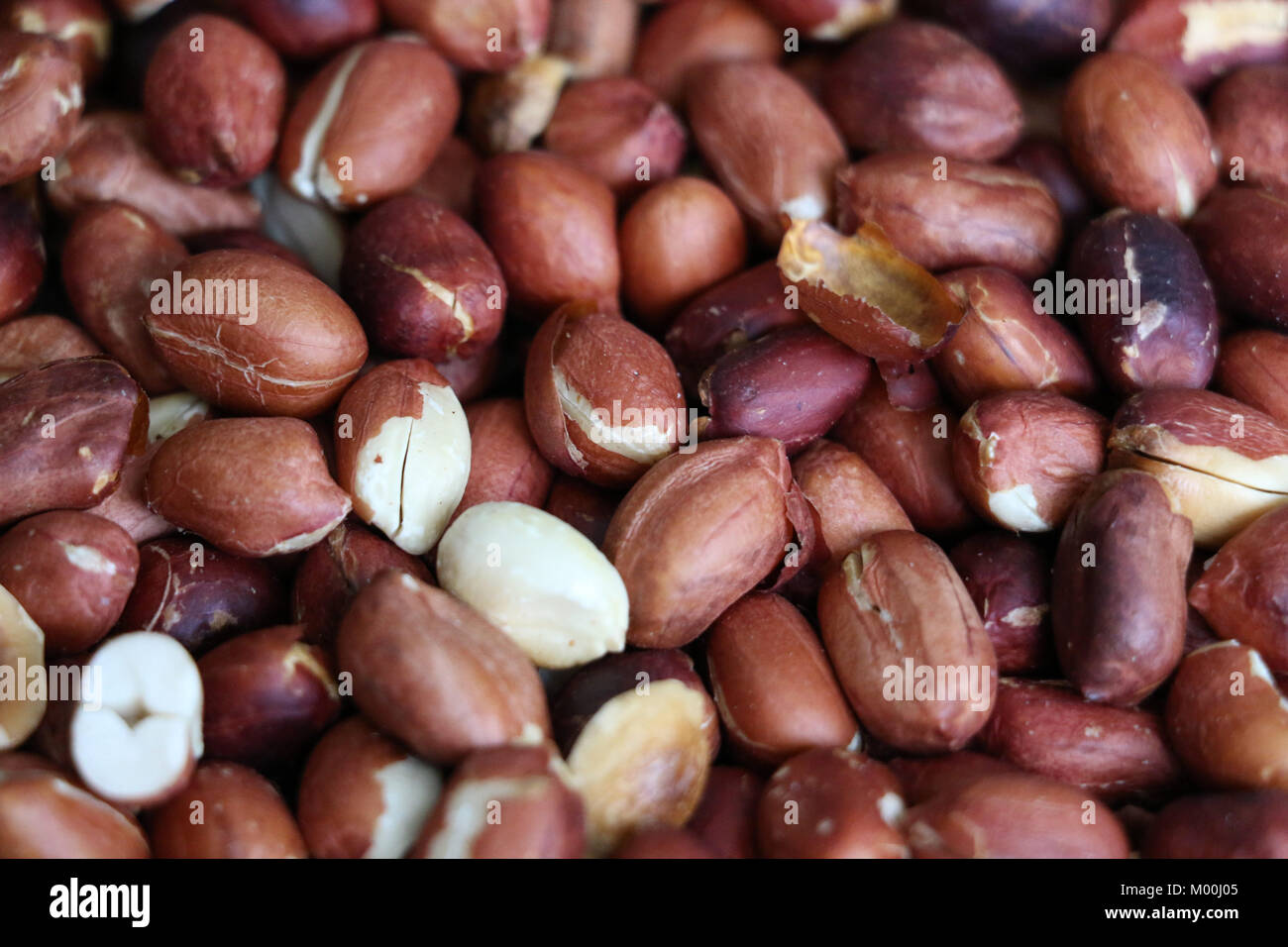 Red roasted peanuts, some open, with and without peel. Peanut ...