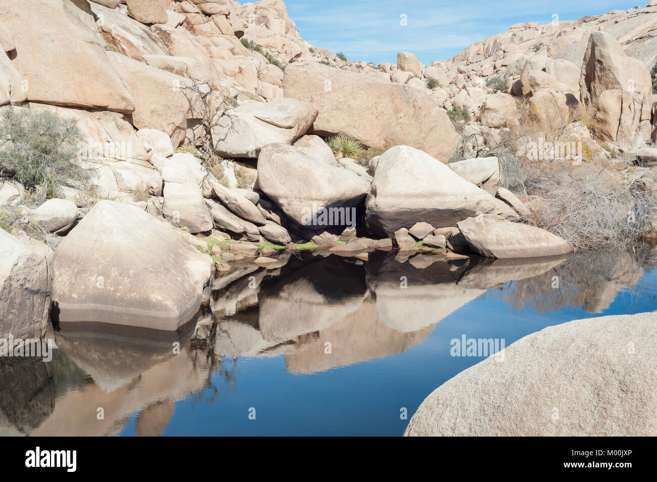 Barker Dam Pond in Joshua Tree National Park Stock Photo - Alamy