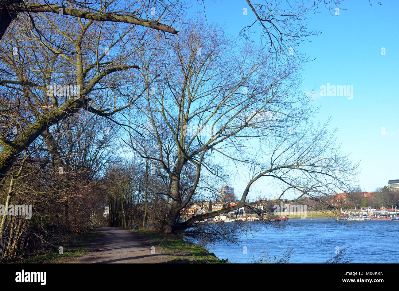 London, UK, January sunshine on chilly day on Hammersmith Bridge ...