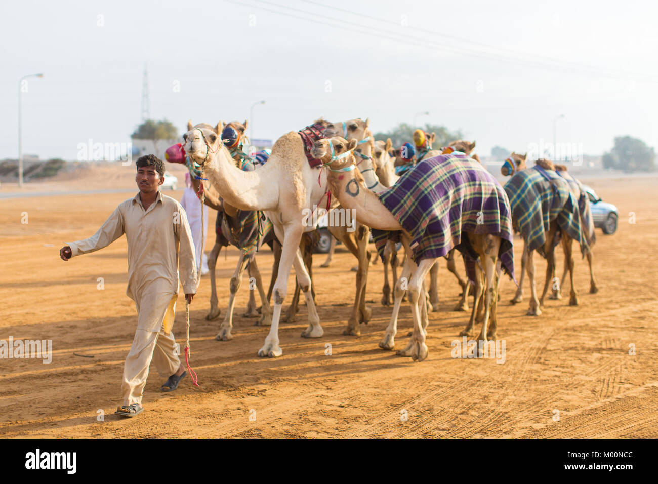 Ras Al Khaimah, Ras Al Khaimah, United Arab Emirates. 13th Jan, 2017. A ...