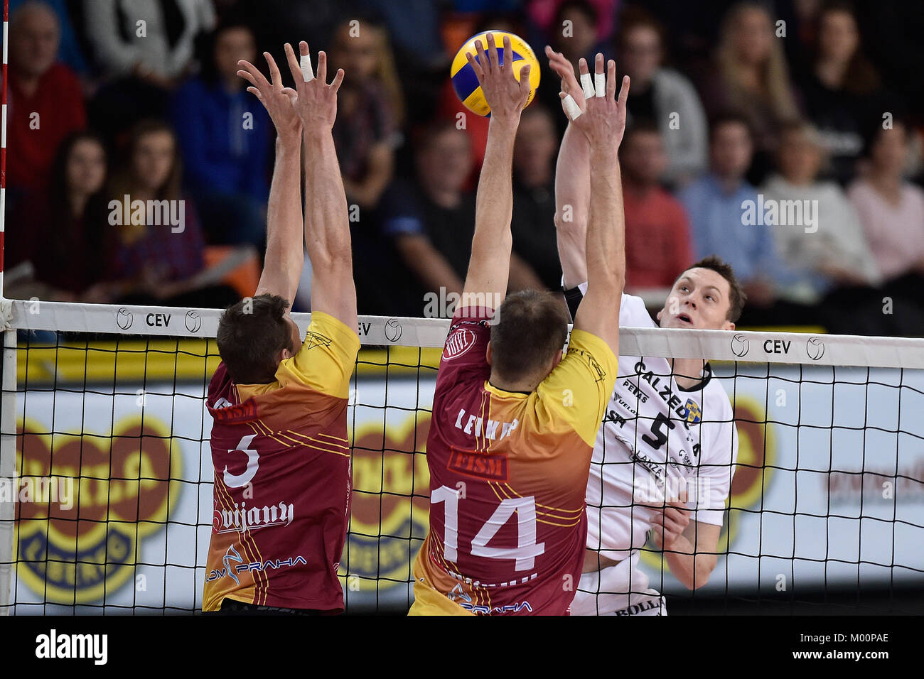 Toncek stern volleyball hi-res stock photography and images - Alamy