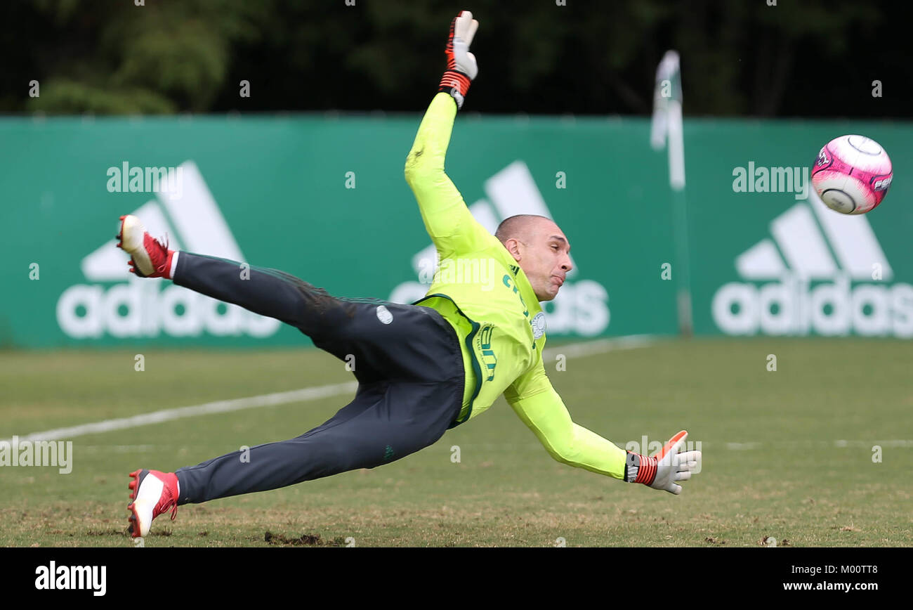 SÃO PAULO, SP - 17.01.2018: TREINO DO PALMEIRAS - Goalkeeper Fernando ...