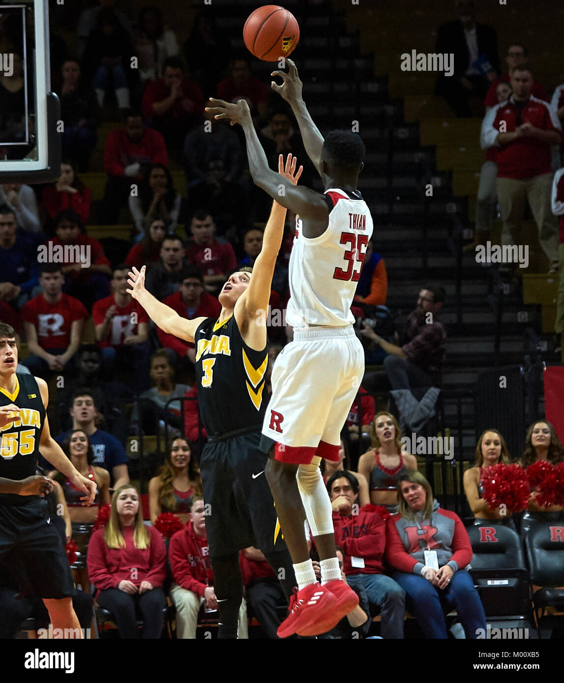 Issa pointer hi-res stock photography and images - Alamy