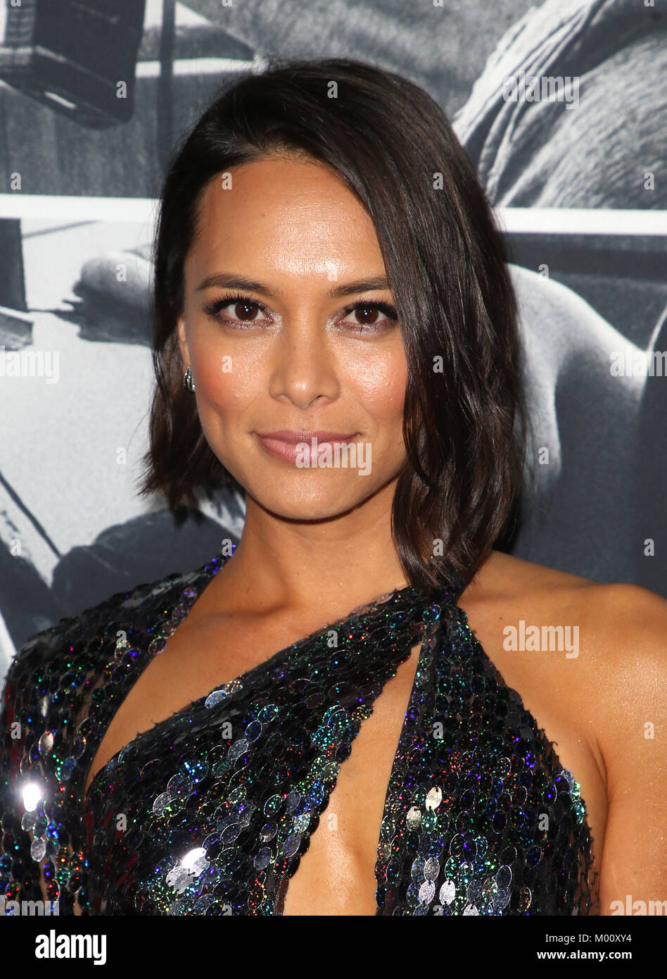 Los Angeles, Ca, USA. 17th Jan, 2018. Sonya Balmores at the premiere of ...