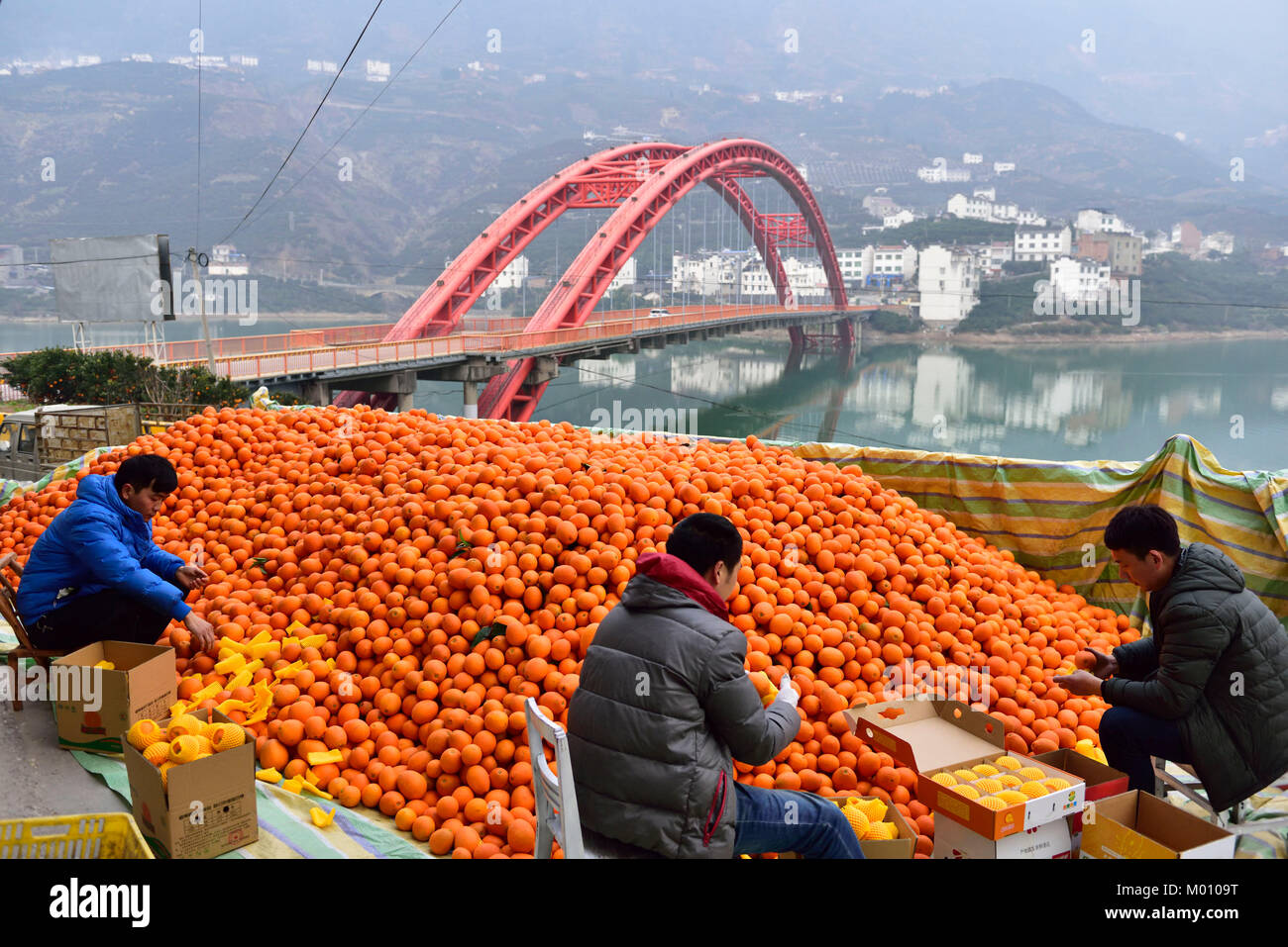 Zigui, China's Hubei Province. 15th Jan, 2018. People pack navel ...