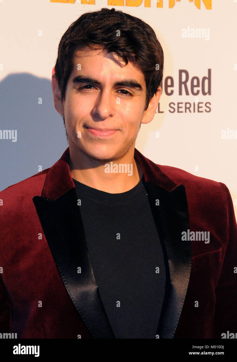 Los Angeles, California, USA. 17th Jan, 2017. Actor James Cavlo attends ...