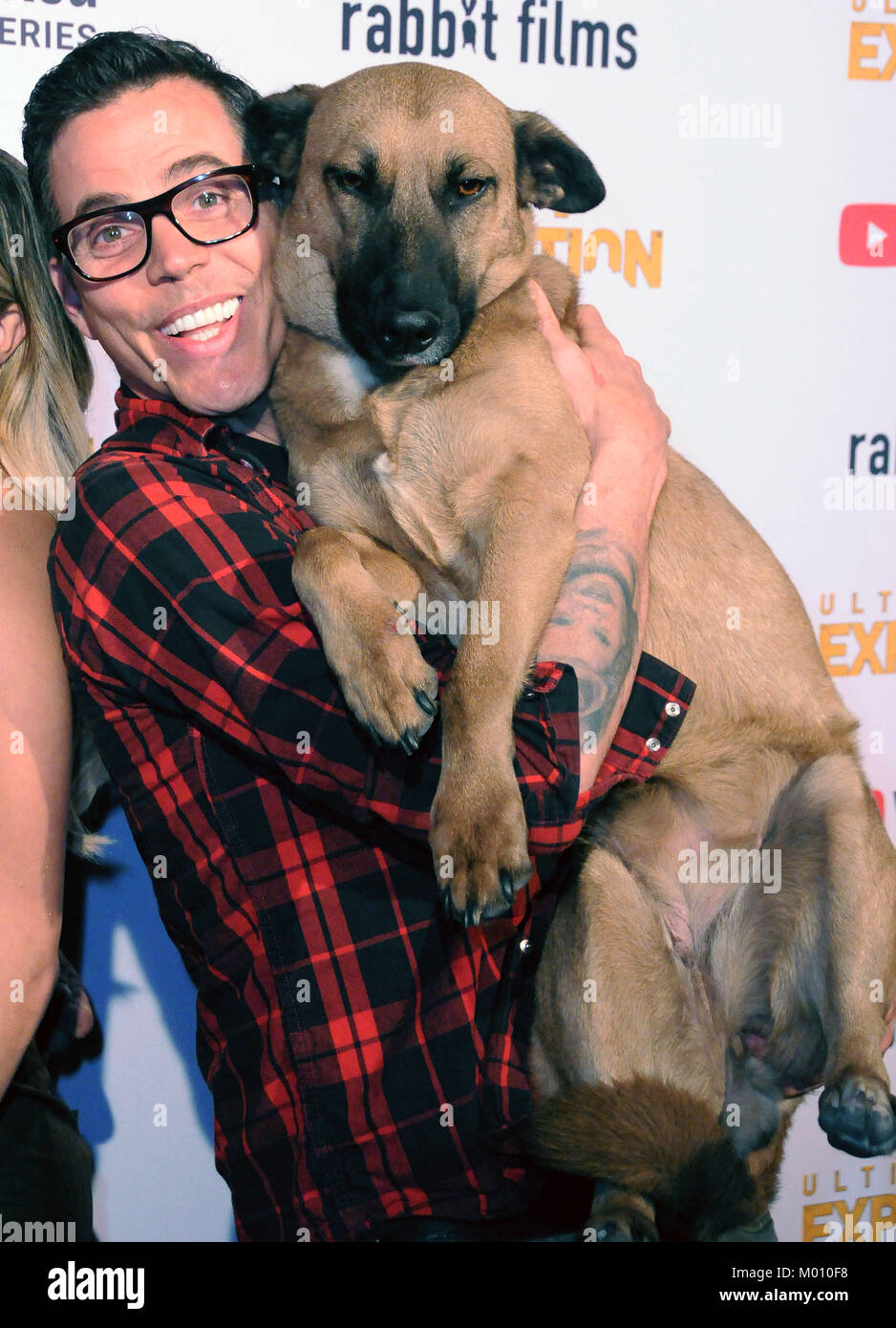 Los Angeles, California, USA. 17th Jan, 2017. Actor Steve-O and his dog ...