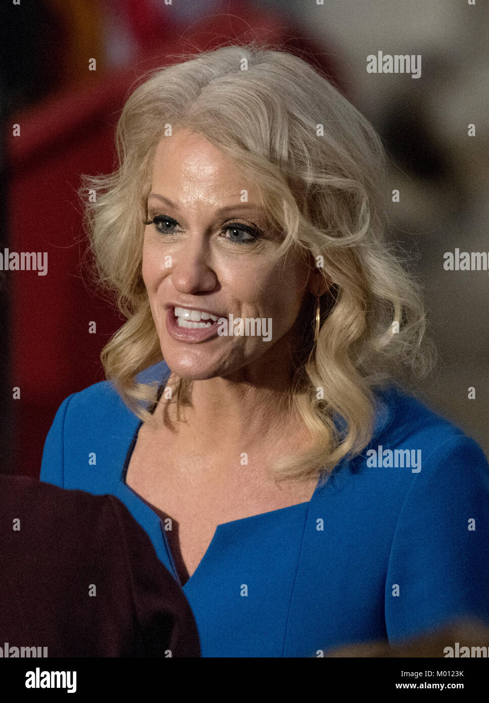 Megan Conway's Instagram, Twitter & Facebook on IDCrawl