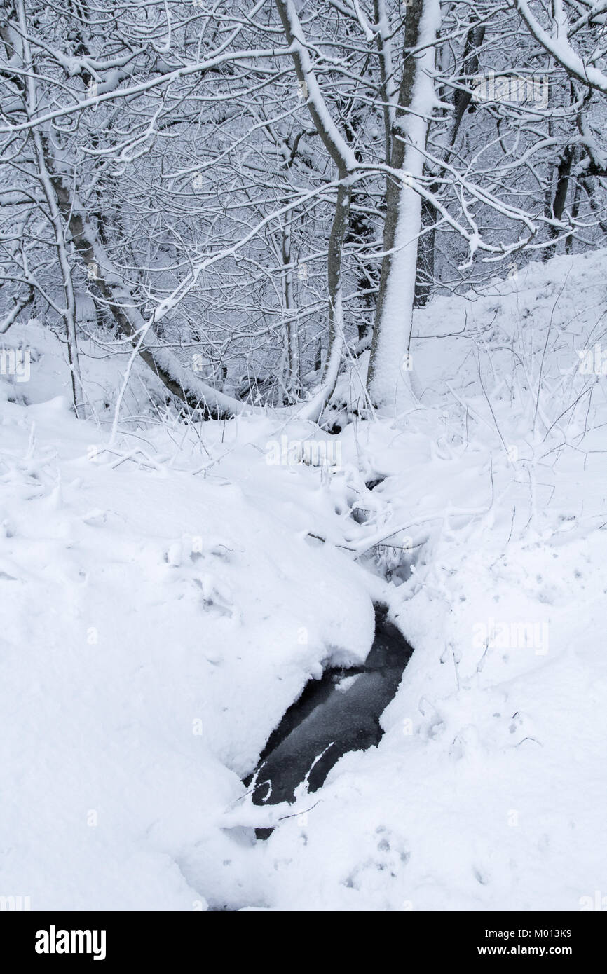 snowfall in Northumberland in winter Stock Photo - Alamy