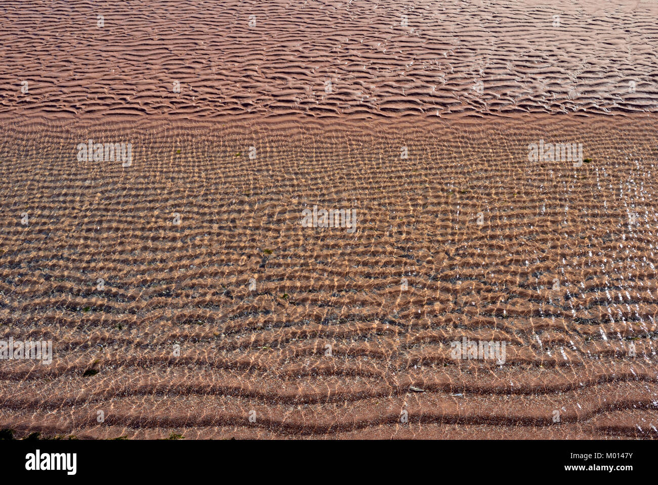 Underwater sand ripples hi-res stock photography and images - Alamy