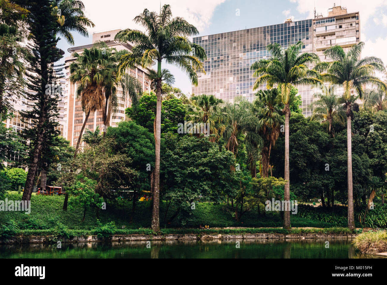 Palm tree belo horizonte hi-res stock photography and images - Alamy