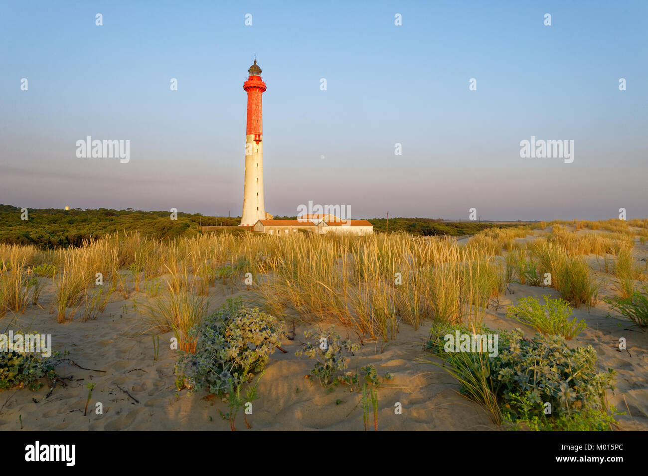 The Lighthouse of La Coubre or Phare de La Coubre, La Tremblade, France ...