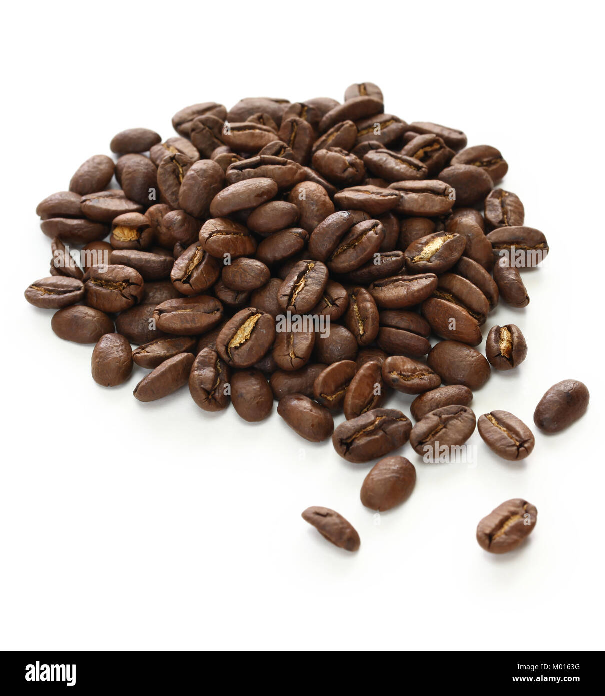 Kopi Luwak Indonesia Online Exhibition