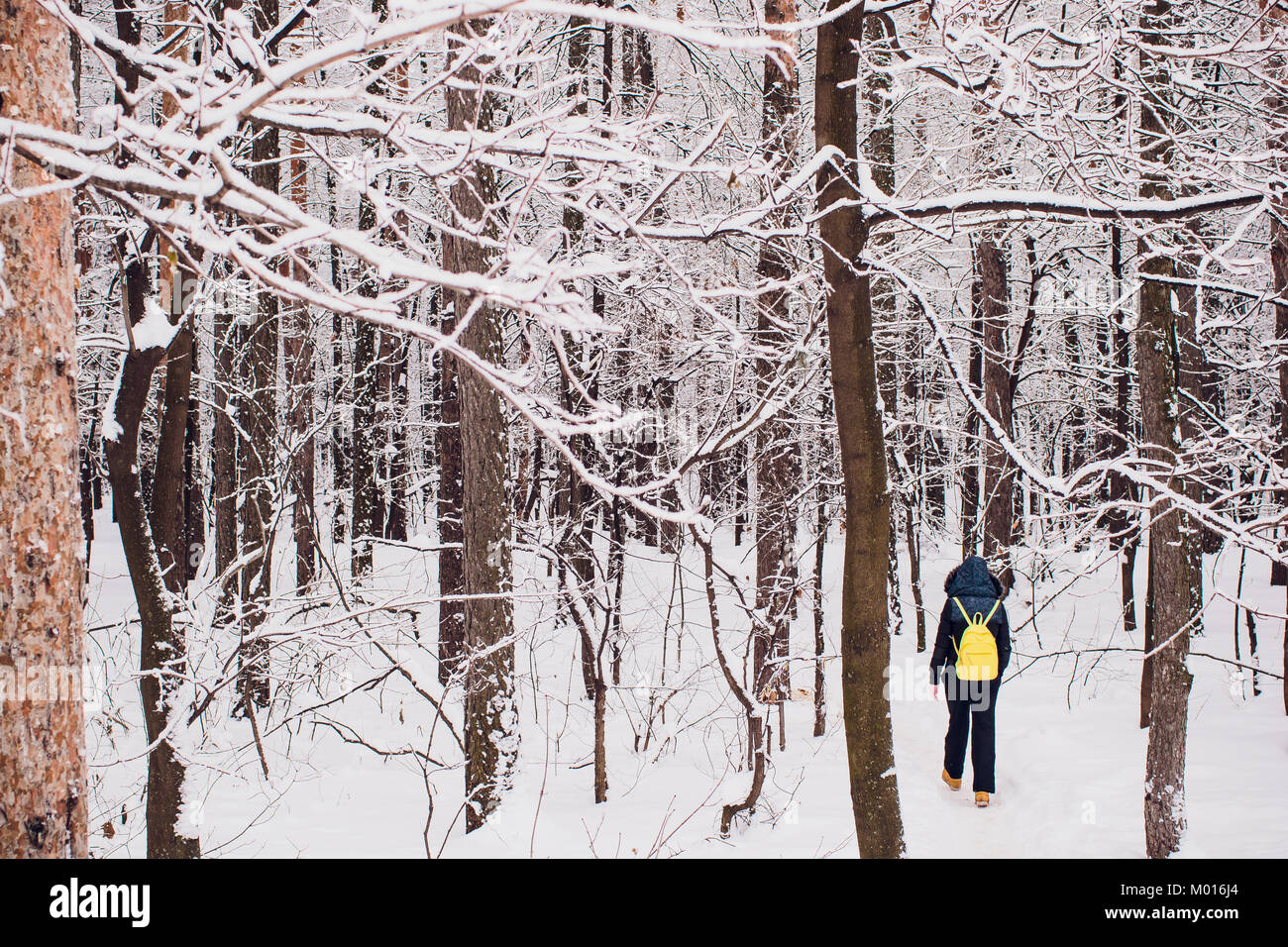 Winter walk in the woods girl snow Stock Photo - Alamy
