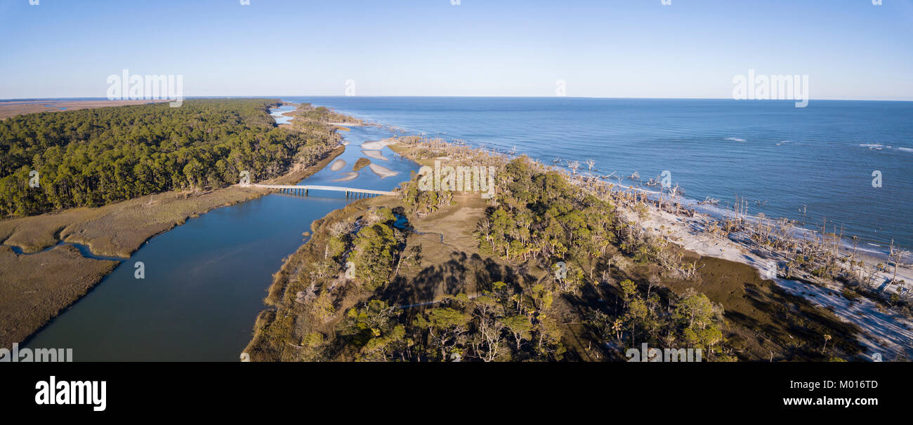 Birds eye view of coastal forest and Atlantic Ocean in South Carolina ...
