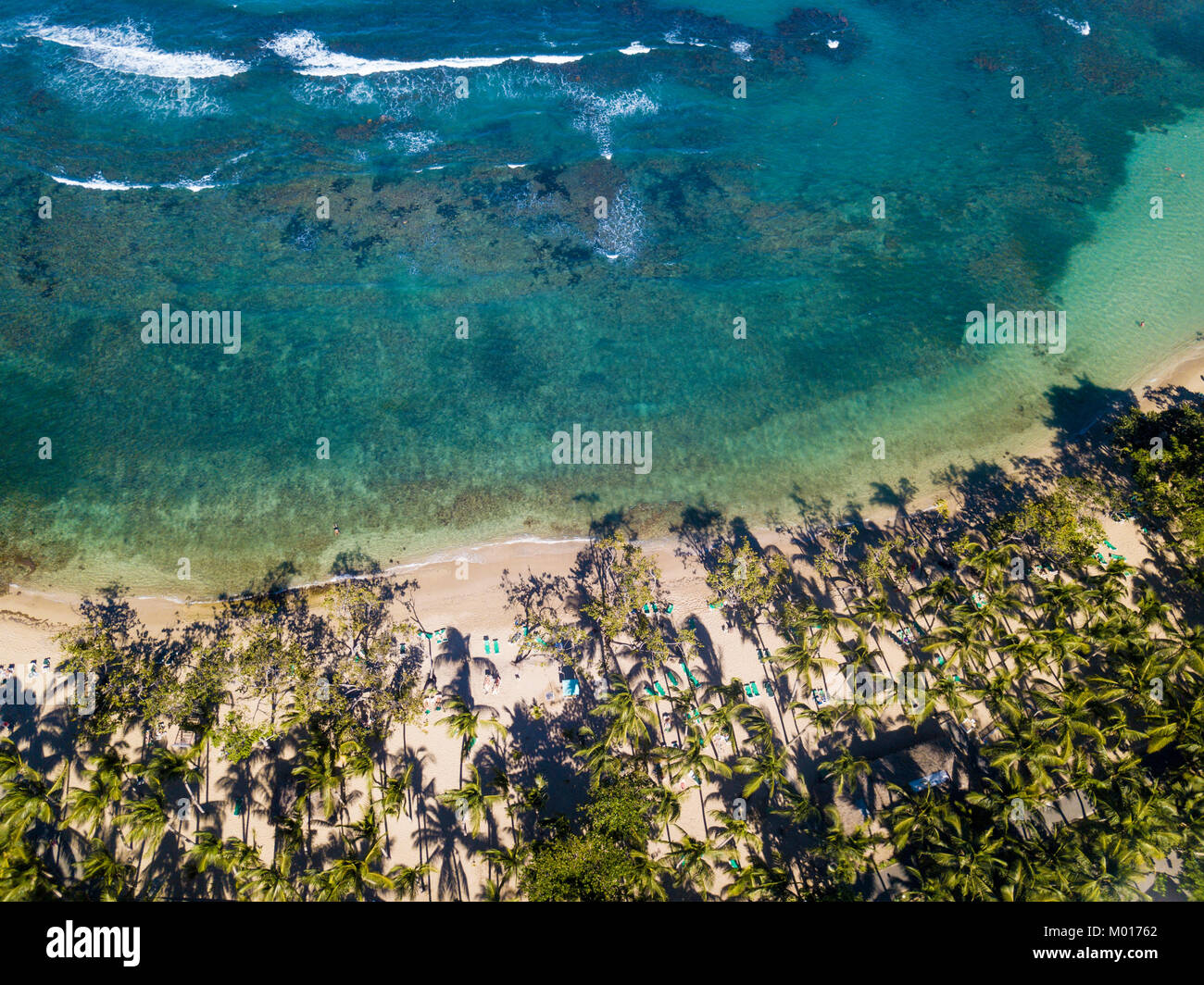 Coconut trees top view hi-res stock photography and images - Alamy