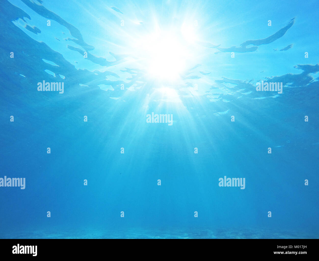 Underwater sea scene sunshine light through water Stock Photo - Alamy