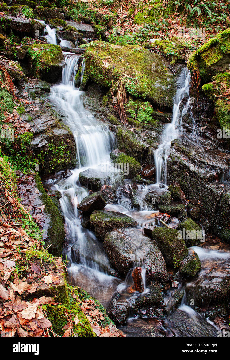 Cascading water hi-res stock photography and images - Alamy