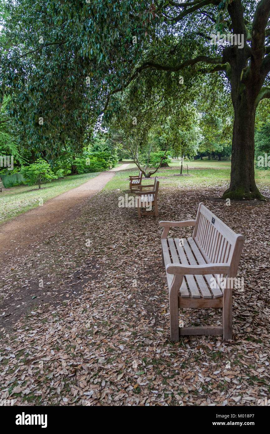 Pathway through the gardens hi-res stock photography and images - Alamy