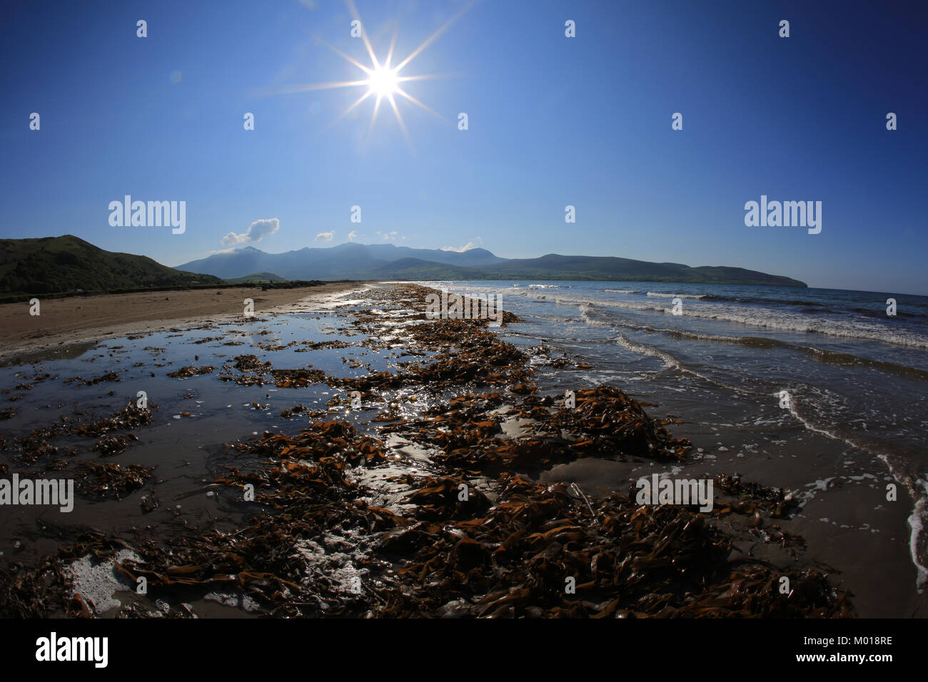 Sandy shoreline in Ireland Coastal Stock Photo - Alamy