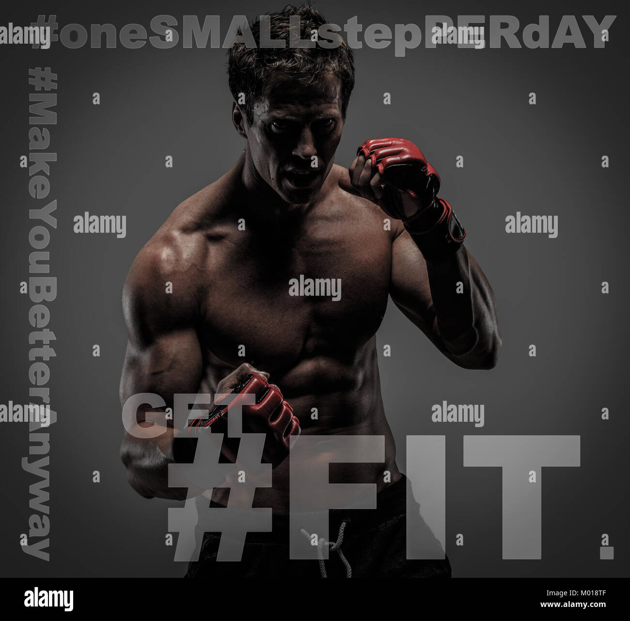 Boxer posing in studio Stock Photo - Alamy