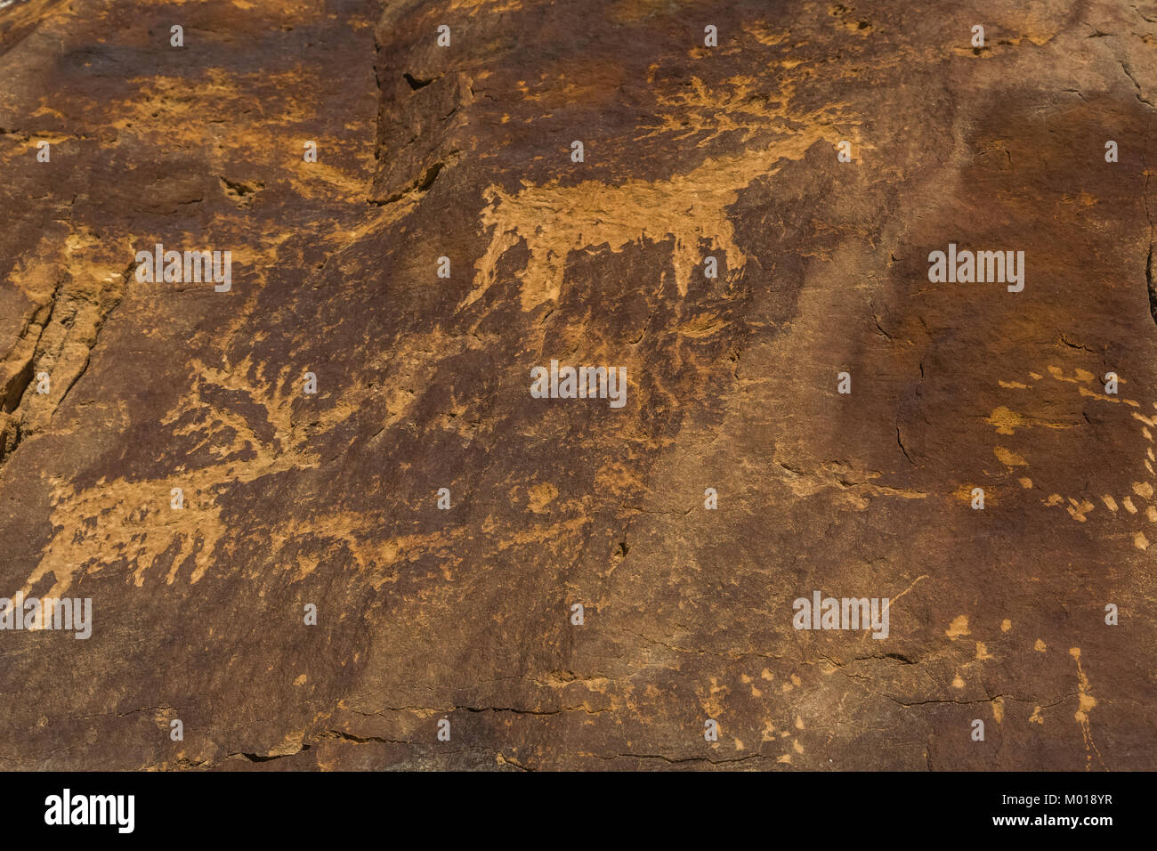 Elk and other petroglyphs high on a sanstone wall in Nine Mile Canyon ...