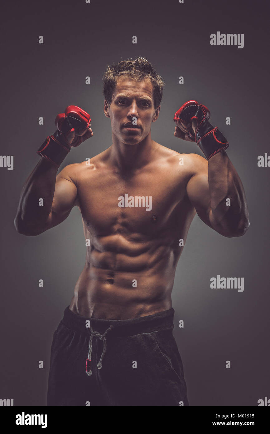 Boxer red boxing gloves fighting hi-res stock photography and images ...