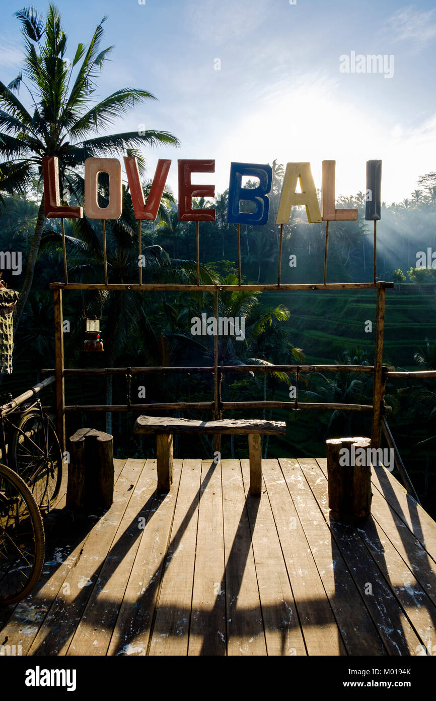 'Love Bali' sign at the Tegallalang rice terraces near Ubud, Bali ...