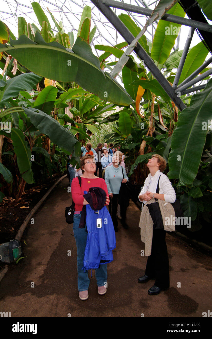 Eden Project Children Stock Photos & Eden Project Children Stock Images ...