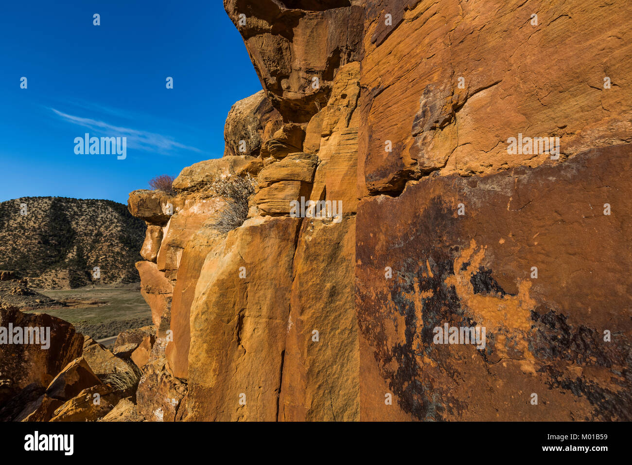 Animal petroglyph hi-res stock photography and images - Alamy