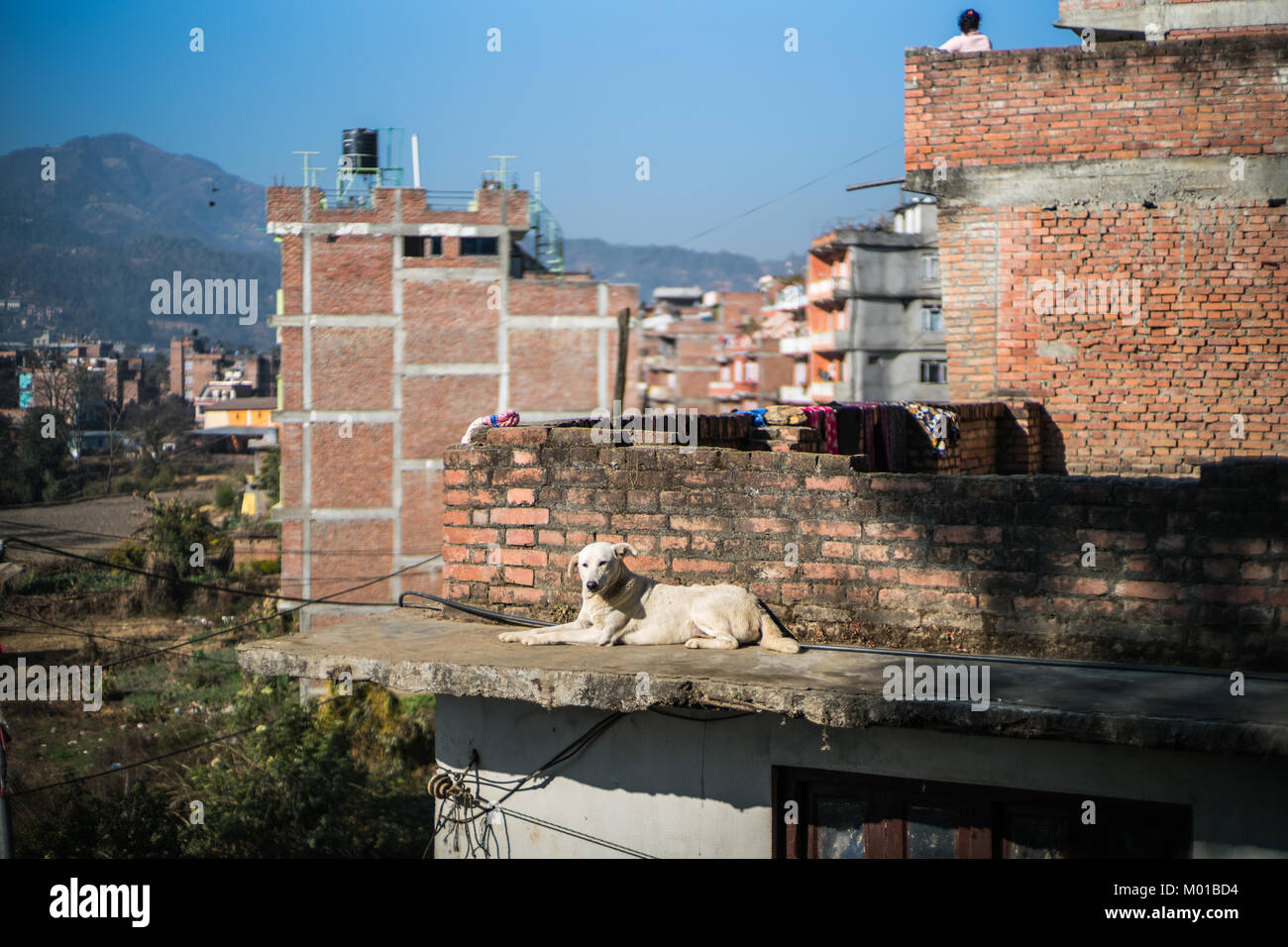 Panauti, Nepal, Asia Stock Photo - Alamy
