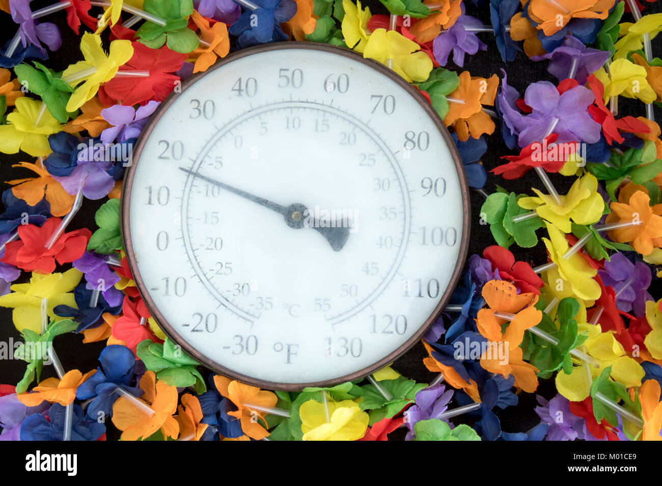 Freezing temperature on thermometer surrounded with fabric flowers on ...