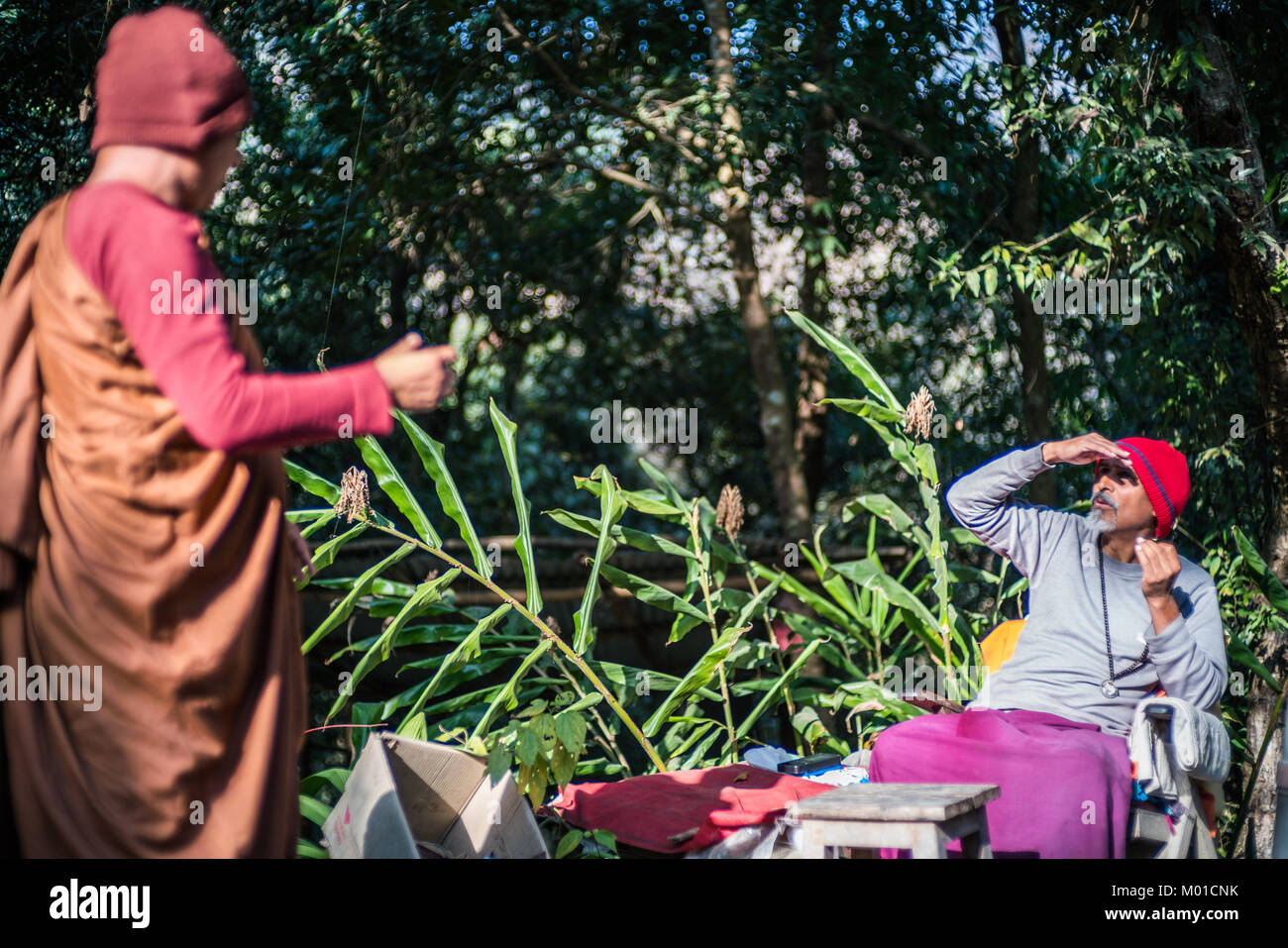 Monk living in the forest near of the Panauti, Nepal, Asia Stock Photo ...