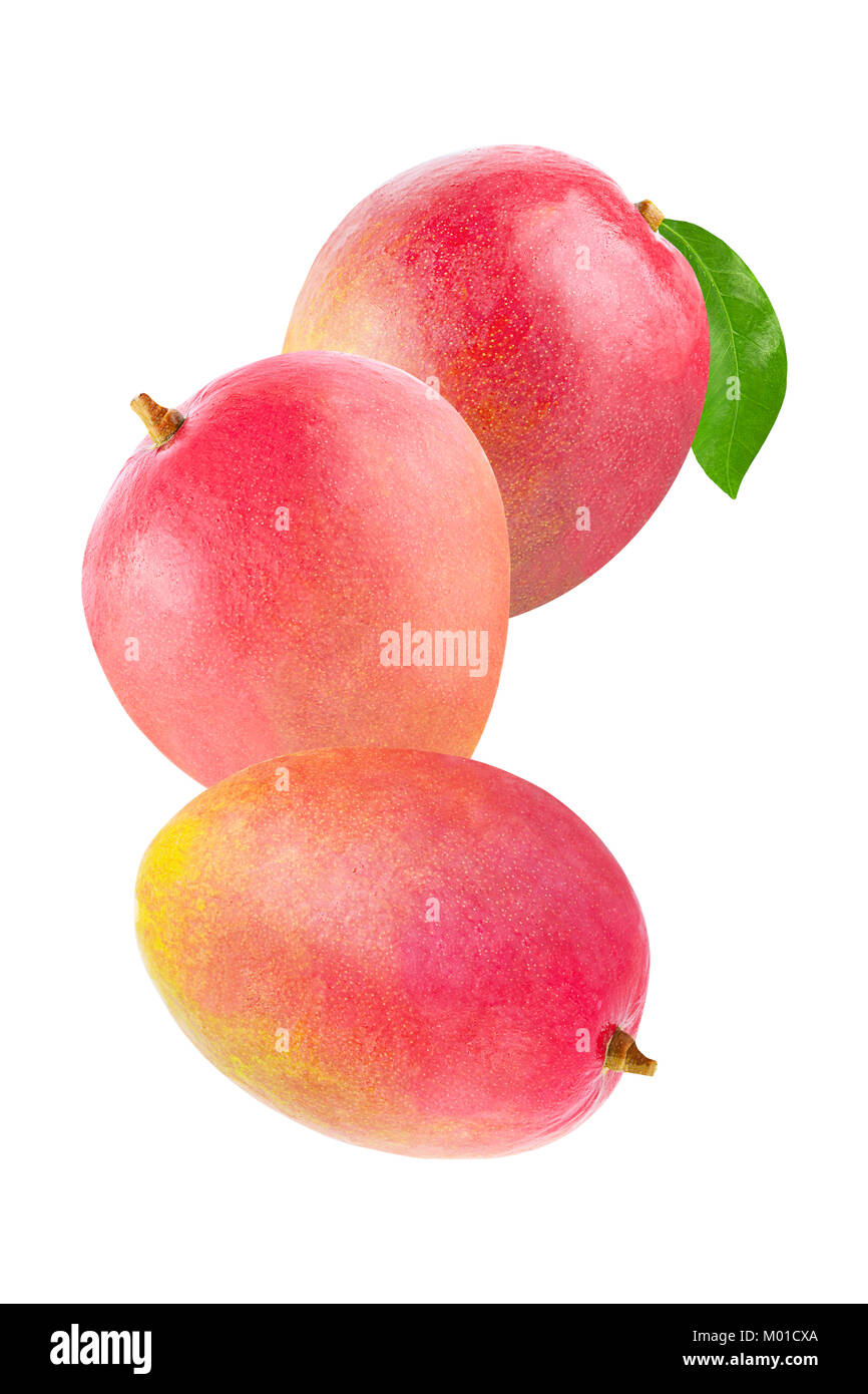 Isolated fruits. Whole mango fruit isolated on white background with ...