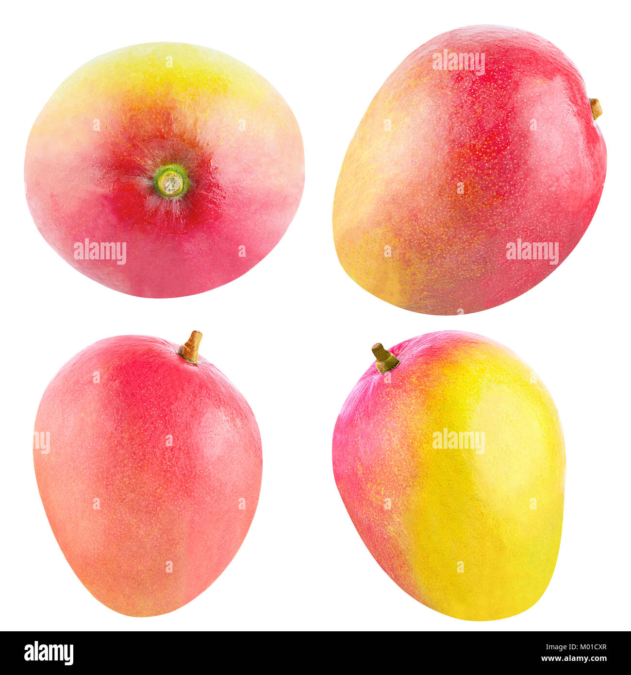 Isolated fruits. Collection of isolated whole mango fruit on white ...