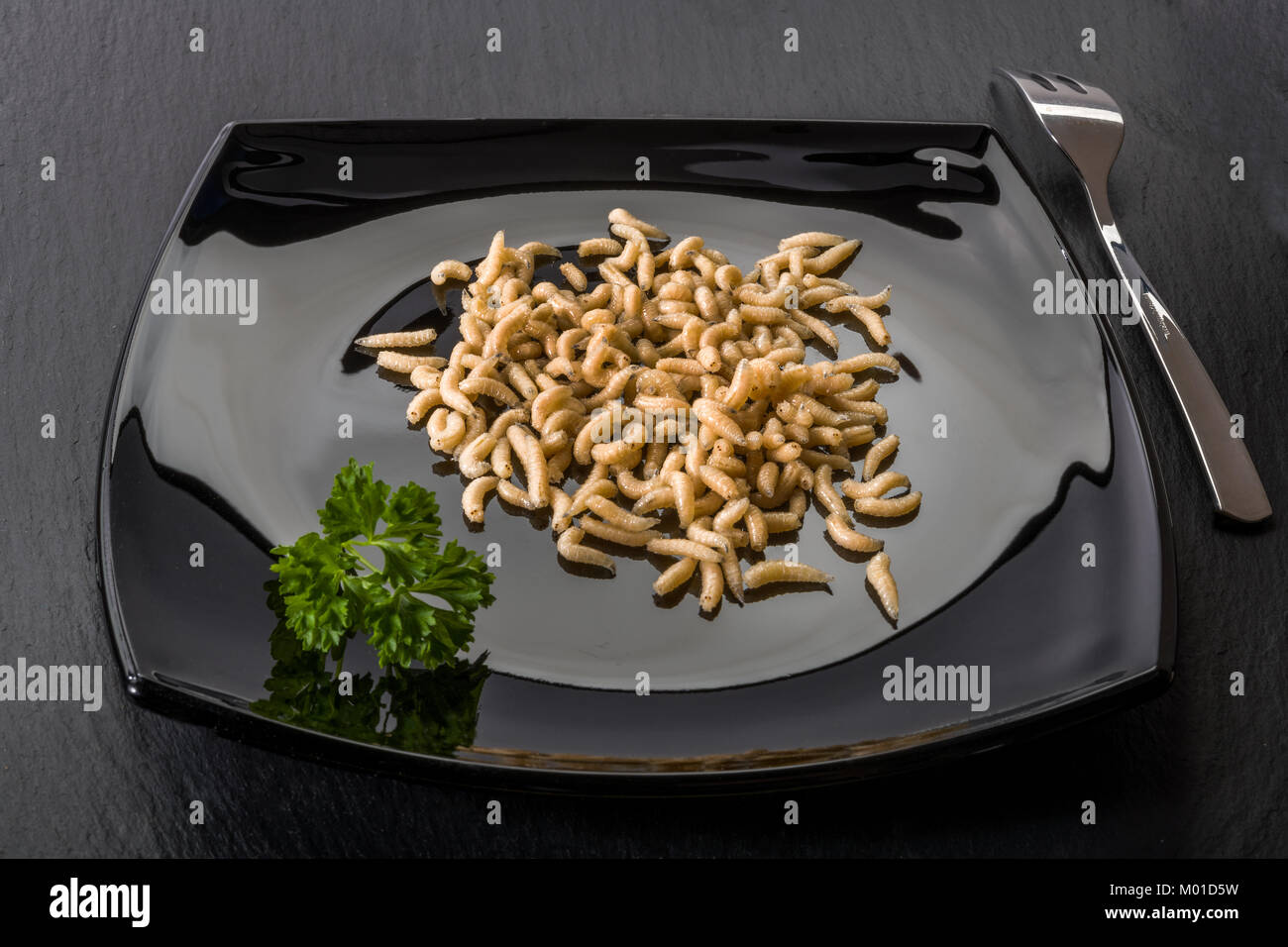 Maggots food hi-res stock photography and images - Alamy