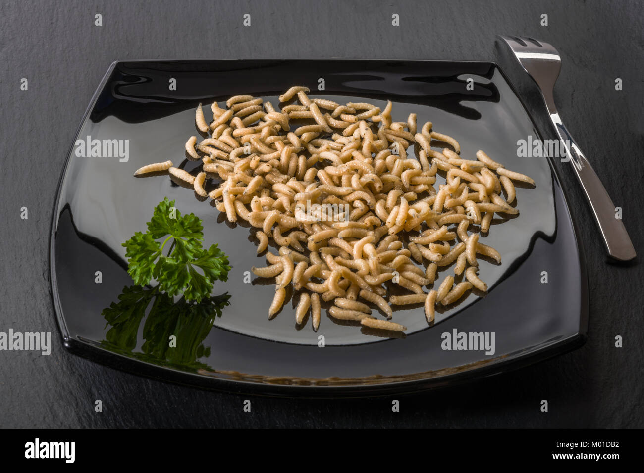 Eating maggots hi-res stock photography and images - Alamy