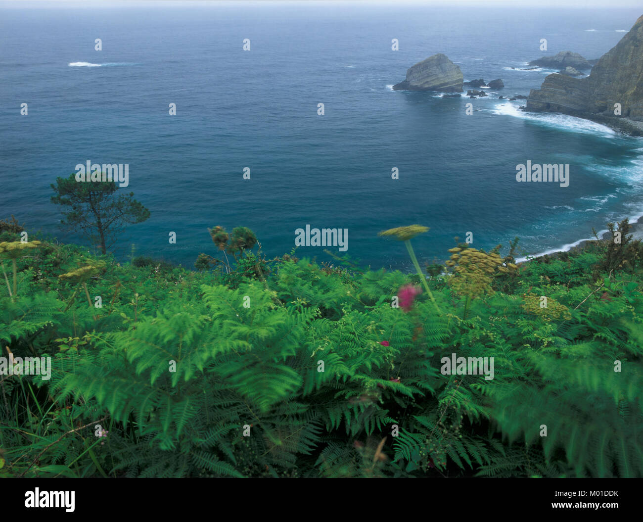 Paisajes de la naturaleza. España. Europa Stock Photo - Alamy