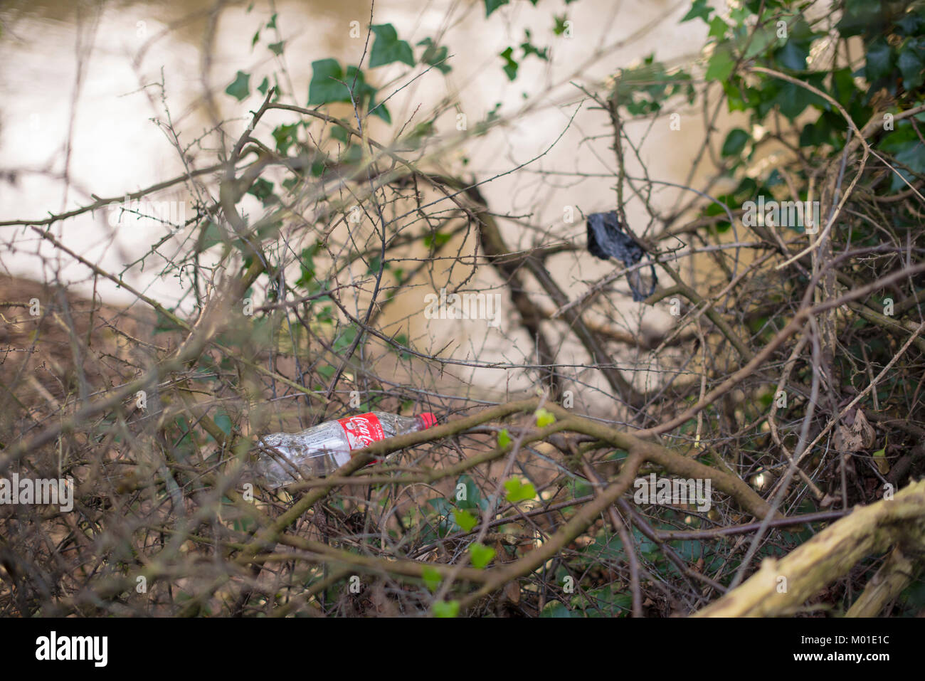 Rubbish in bushes by the river including a Coca Cola bottle and a black ...