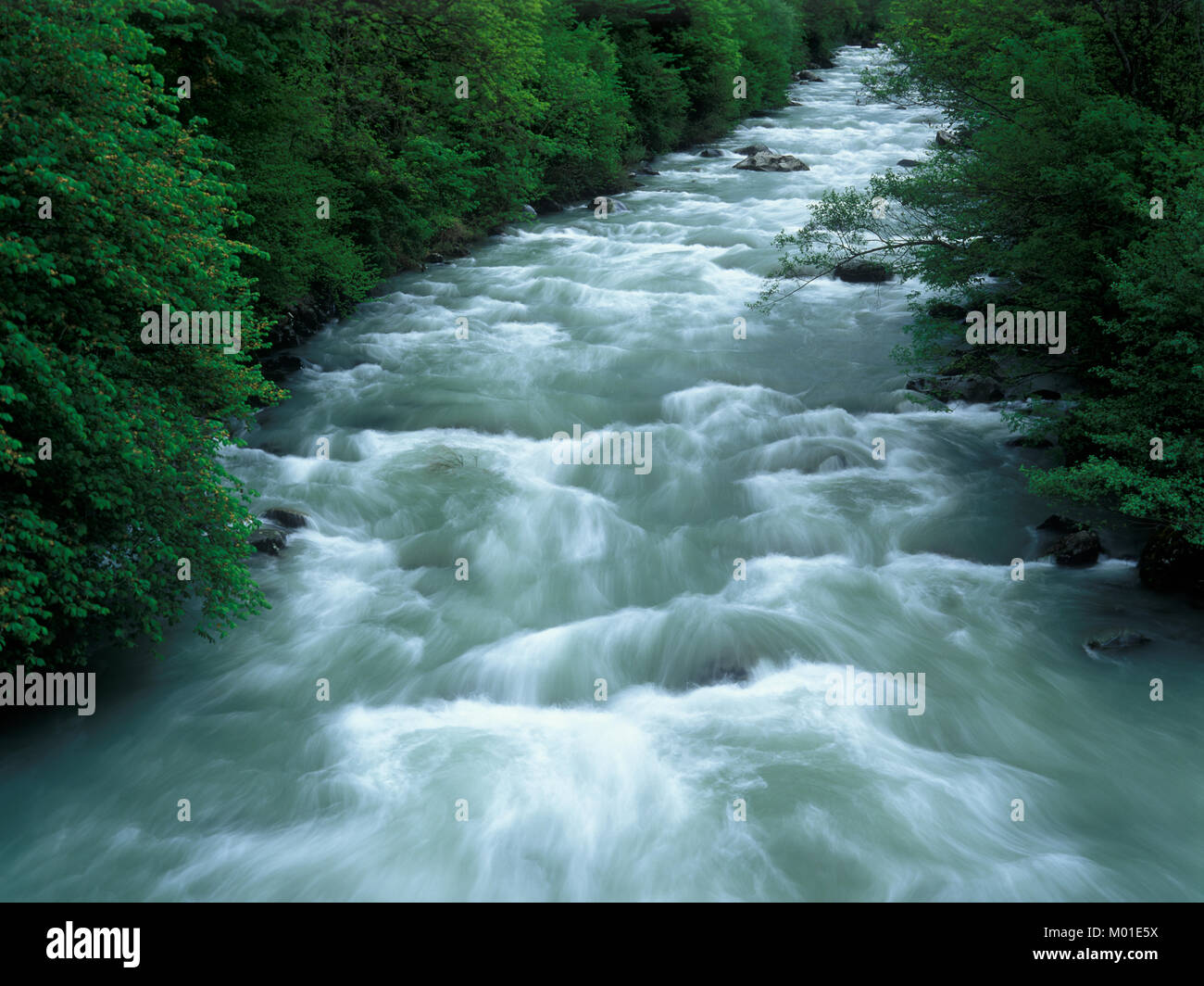 Gave river, Gavarnie, Pyrnenees National Park, France, Europe Stock ...