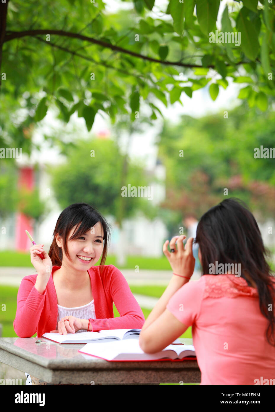 two asian college girl study together Stock Photo - Alamy