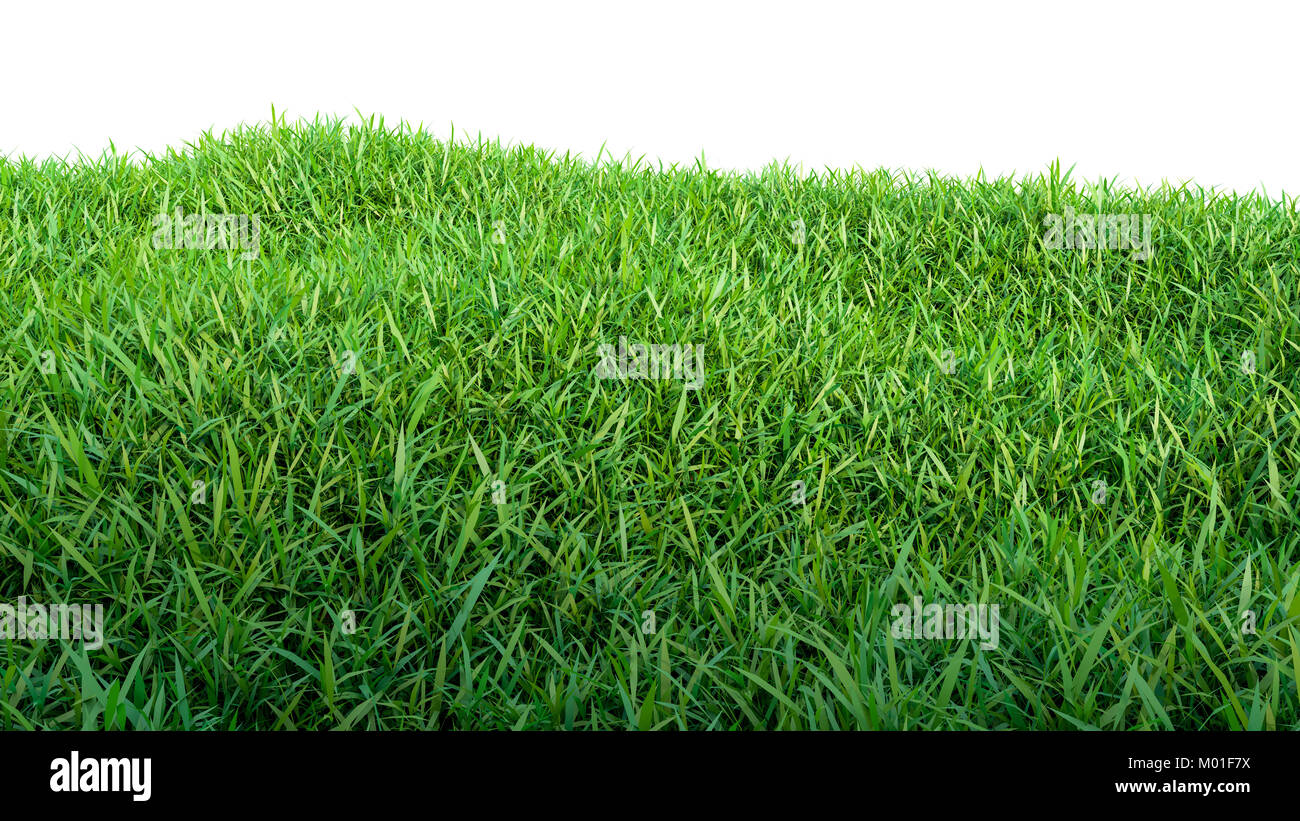 Green grass field on small hills, isolated Stock Photo - Alamy