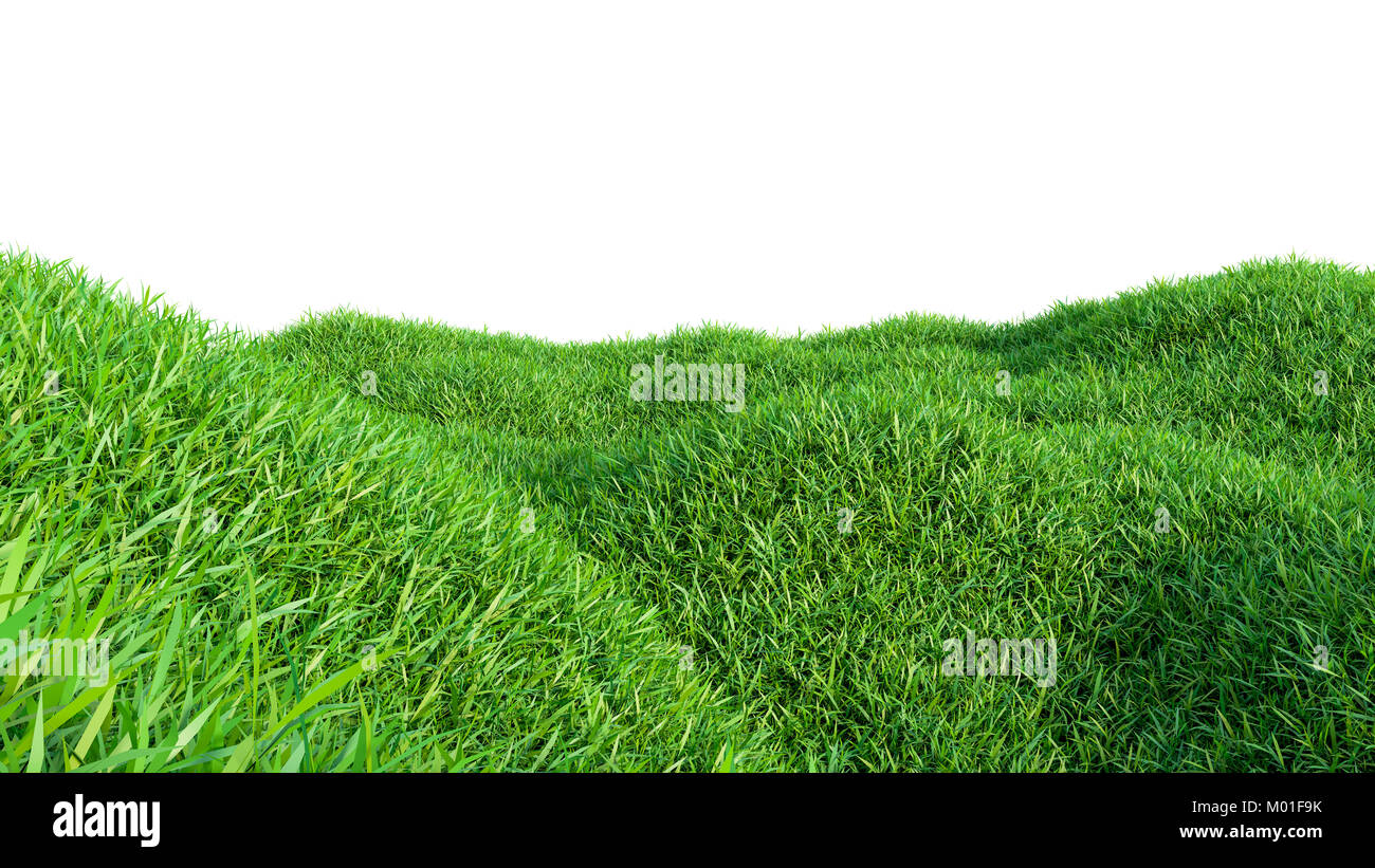 Green grass field isolated on white background Stock Photo - Alamy