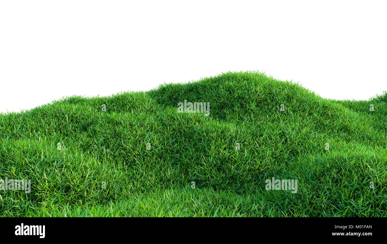 Green grass field isolated on white background Stock Photo - Alamy