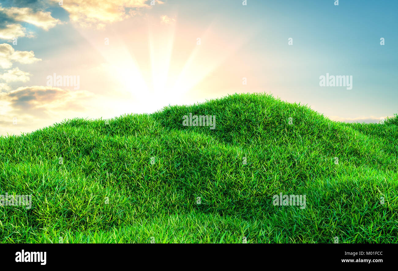 Image of green grass field and bright blue sky Stock Photo - Alamy