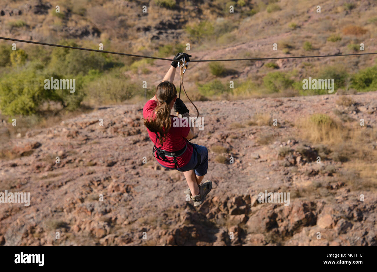 Zip lining over Mehrangarh Fort, Jodhpur, Rajasthan, India Stock Photo ...
