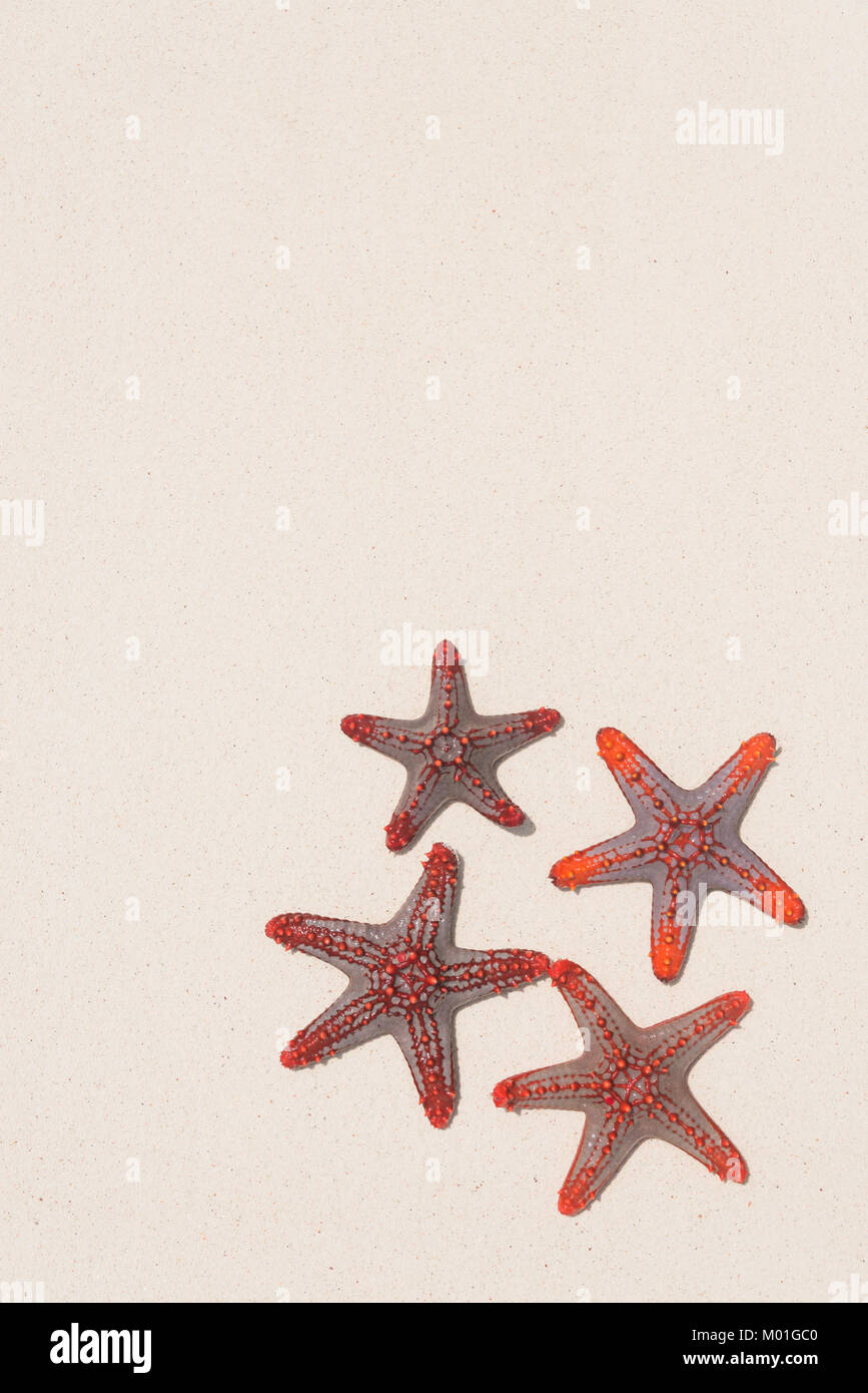 Group of starfish on sandy beach background Stock Photo - Alamy