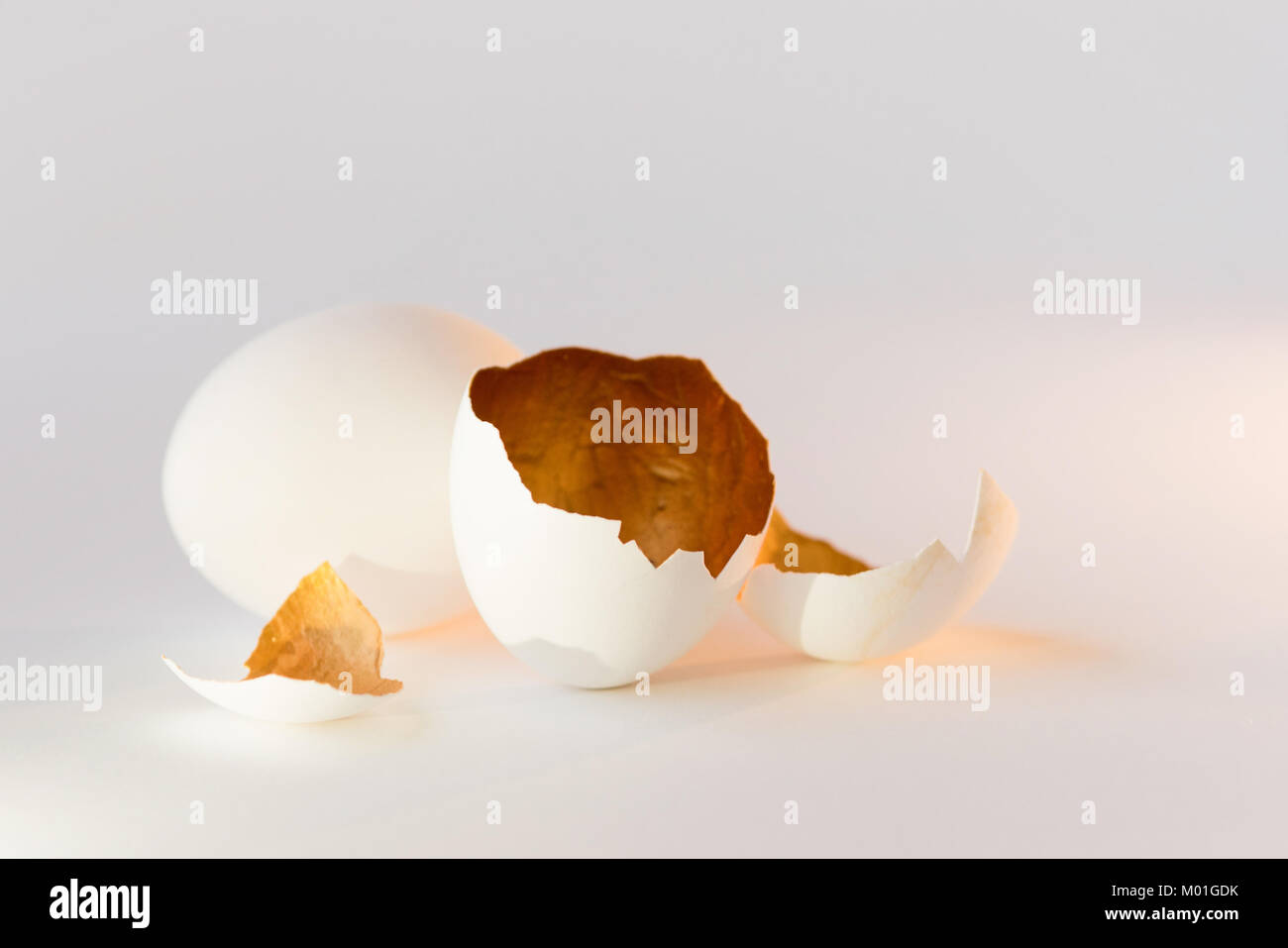 A symbol of new life, eggs shells Stock Photo - Alamy