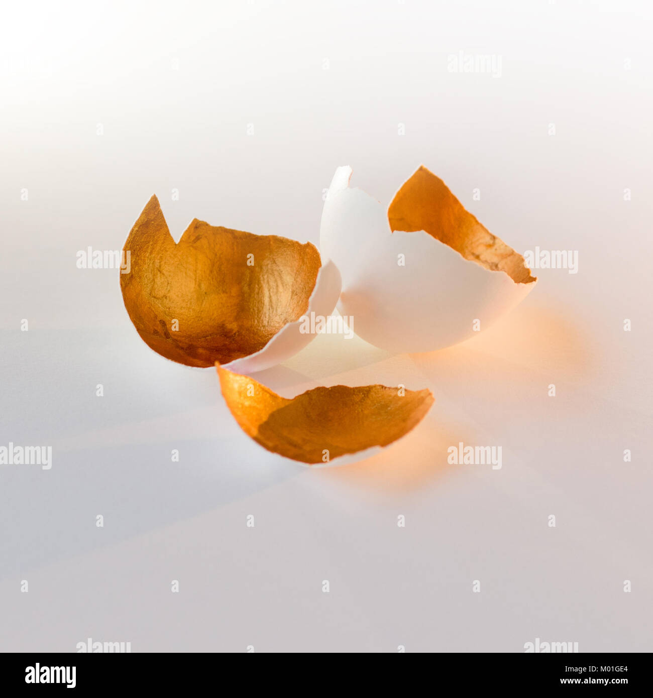 A symbol of new life, eggs shells. Decorative, gold color inside Stock ...